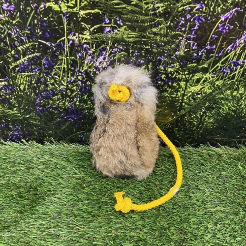 Dog Training Accessories Available At Mullenscote Gun Dog